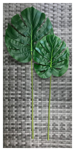 DEL MONSTER LEAF – floristworld