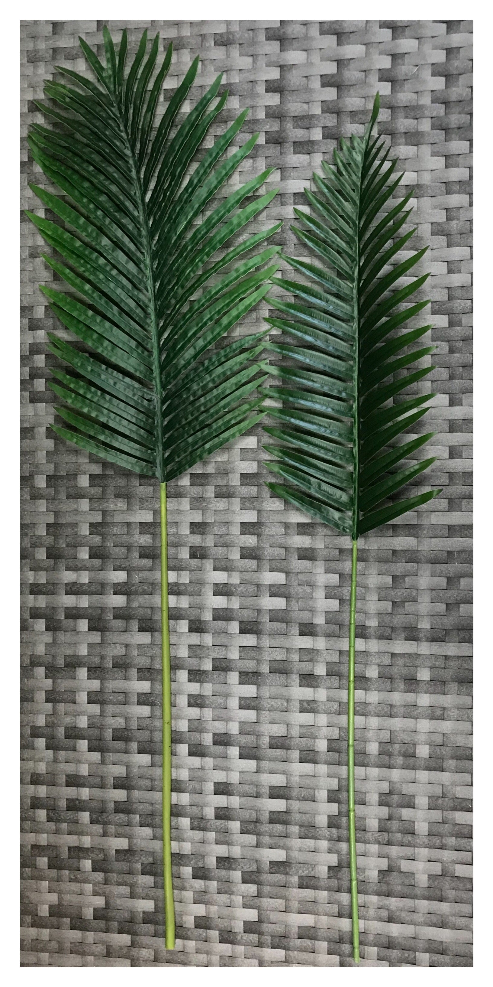 palm leaf – floristworld